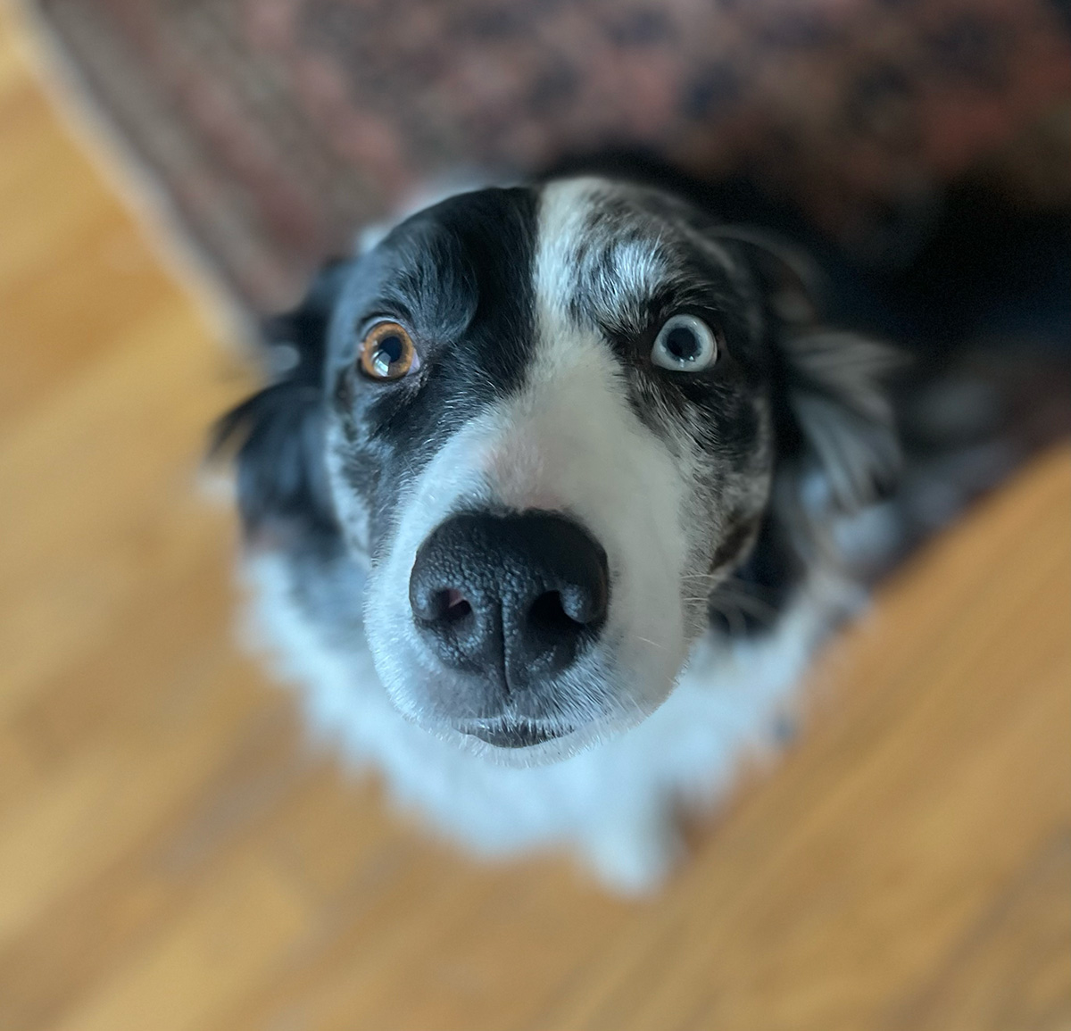 A Little About Me – Angela Stroud For Wisconsin